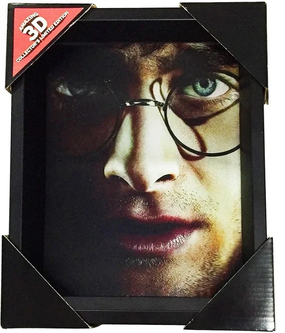 Harry Potter 3D Frame - Gamebreaker
