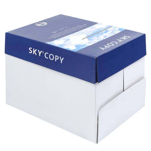 Copy paper A4 80g carton - 5 reams - Gamebreaker