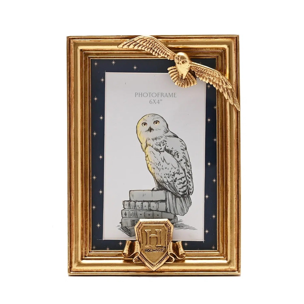 Harry Potter Hedwig 3D Photo Frame - Gamebreaker