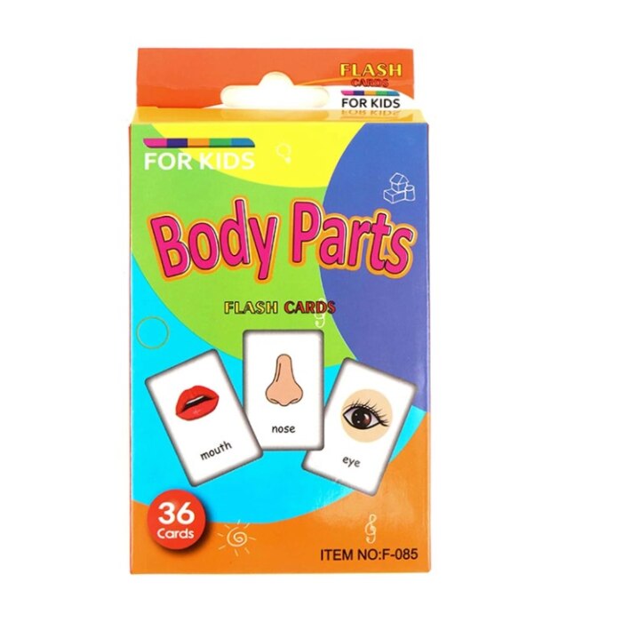 Learning Cards for Kids Body Parts - Gamebreaker
