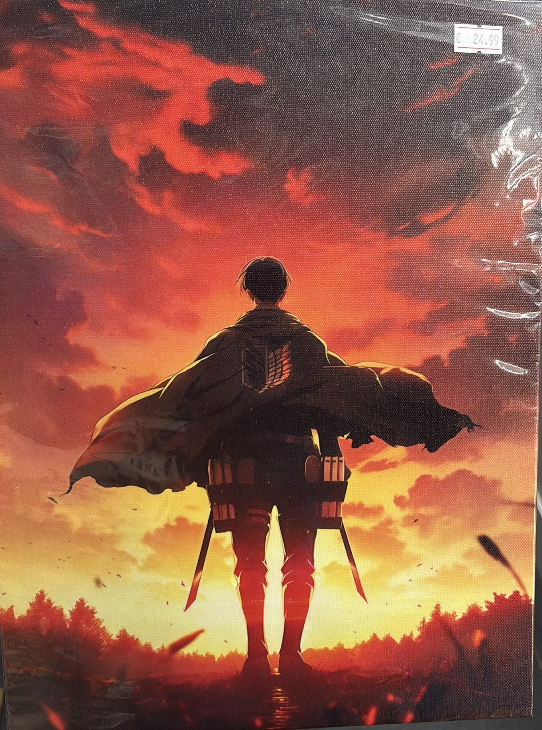 Attack on Titan Canvas Frame ( Small ) - Gamebreaker