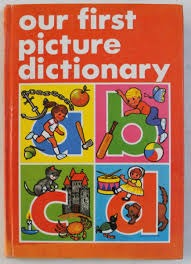Our first picture dictionary - Gamebreaker